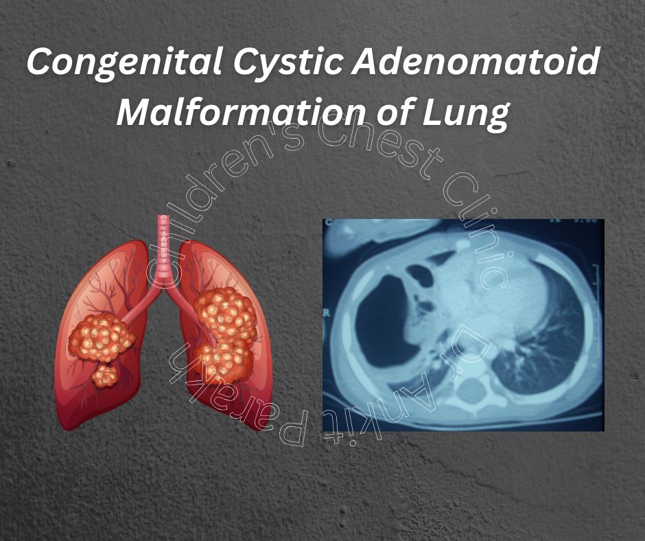 Ccam Logo Exploring The Future Of Cooperative, Connected, And