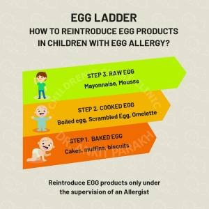 Egg Ladder: A guide to home Reintroduction of Egg into child's diet ...